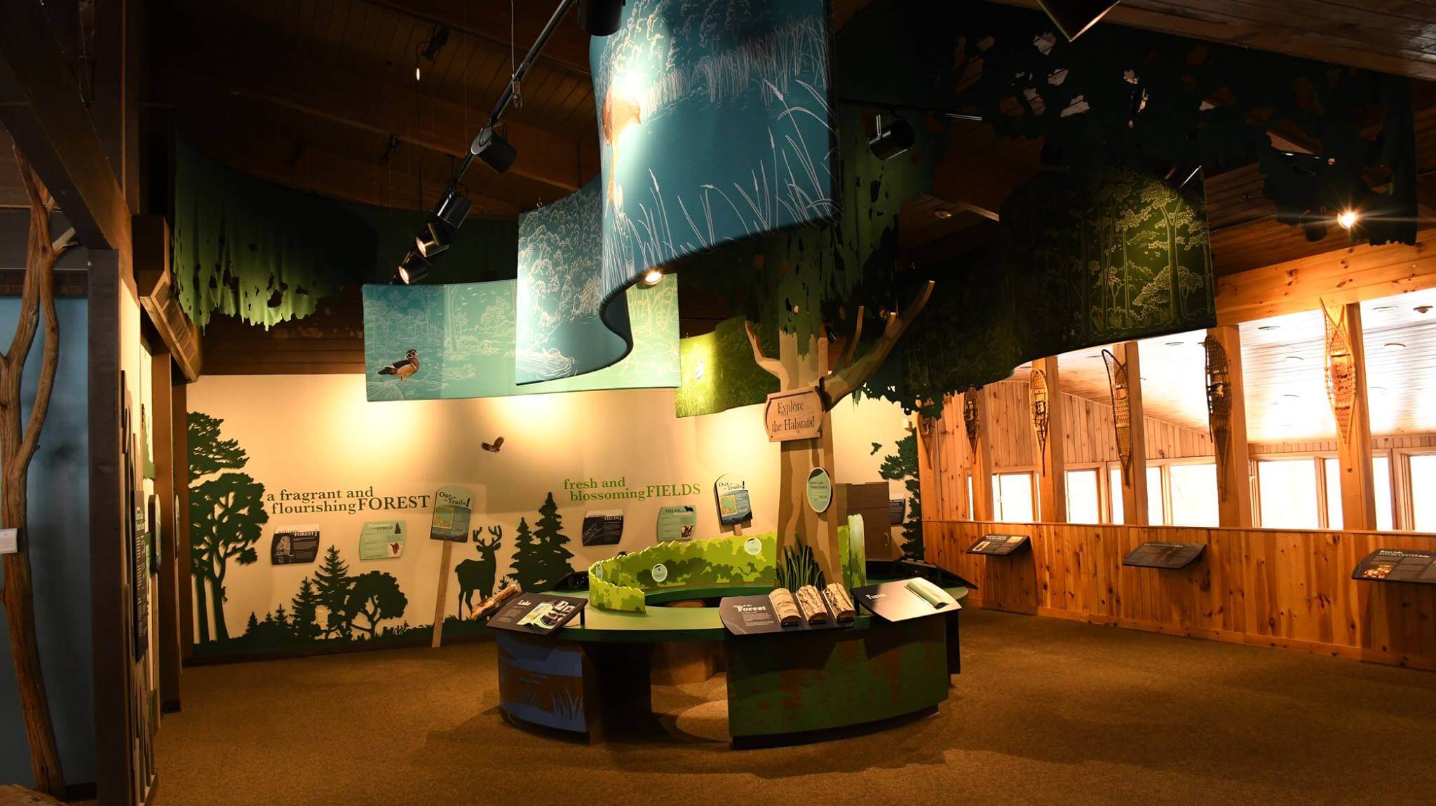 Exhibits – Beaver Lake Nature Center